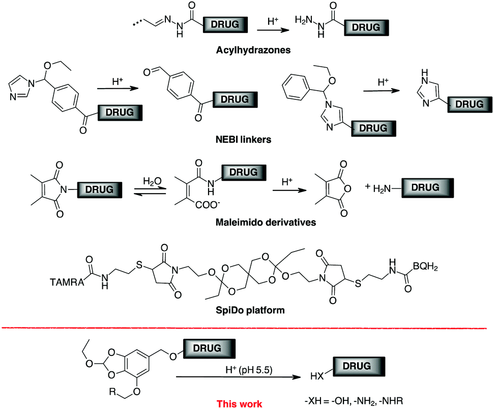 A pH-responsive crosslinker platform for antibody-drug conjugate (ADC ...