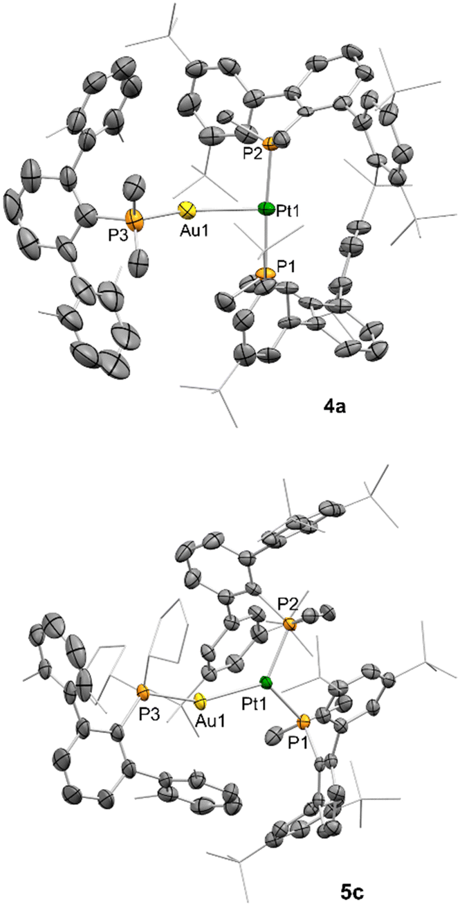 A highly constrained cis -dihydride platinum complex trapped by ...