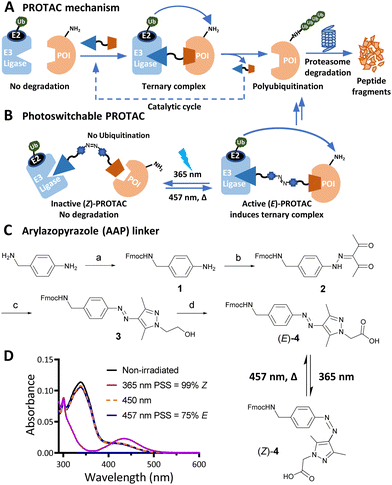 Light-mediated multi-target protein degradation using arylazopyrazole ...