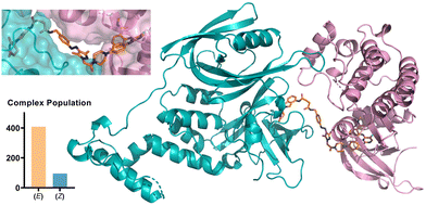 Light-mediated multi-target protein degradation using arylazopyrazole ...