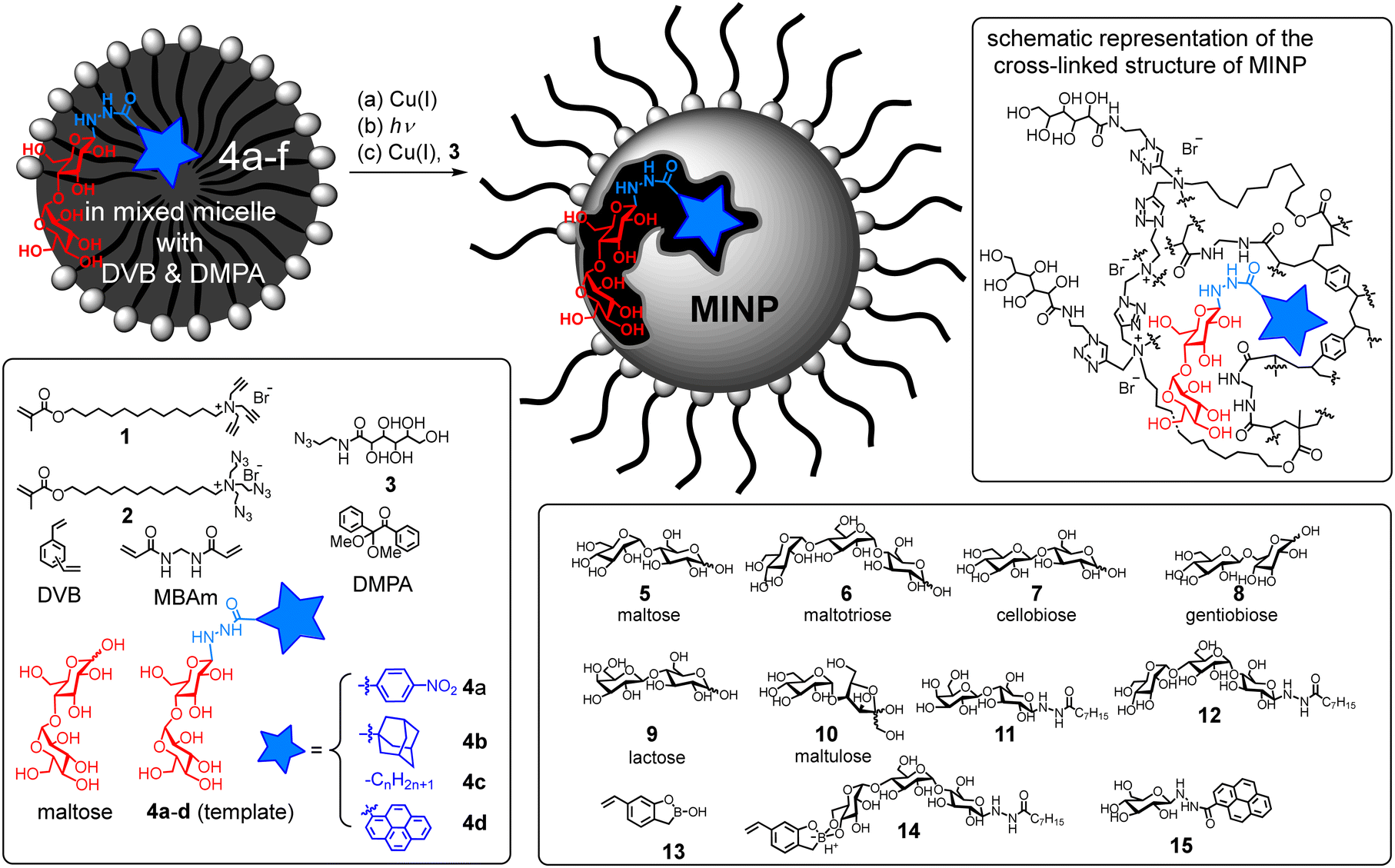 Controlling enzyme reactions by supramolecular protection and ...
