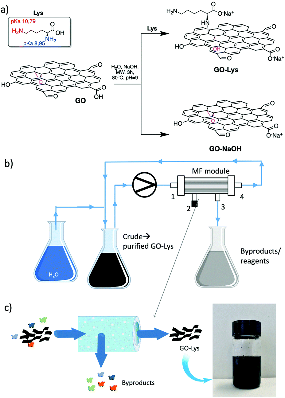 Facile high-yield synthesis and purification of lysine-modified ...