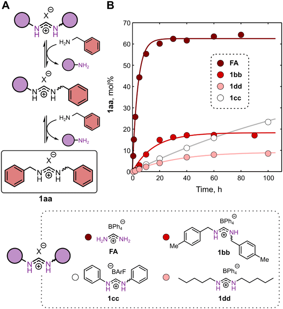 Anion-assisted amidinium exchange and metathesis - Chemical ...