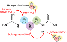 Nuclear Overhauser spectroscopy in hyperpolarized water – chemical vs ...