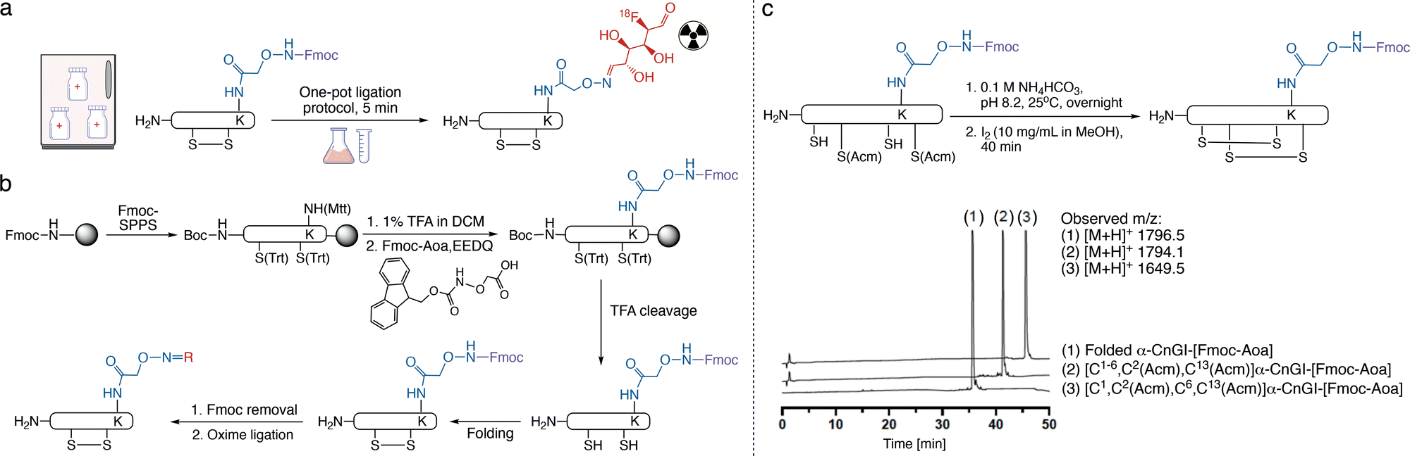 Expanding the versatility and scope of the oxime ligation: rapid ...