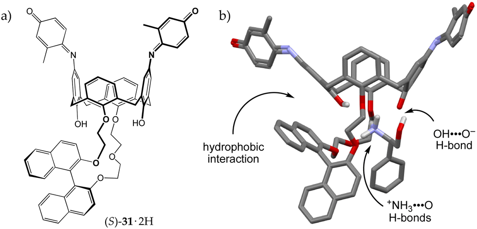 Proton transfer mediated recognition of amines by ionizable macrocyclic receptors - Chemical ...