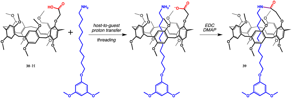 Proton transfer mediated recognition of amines by ionizable macrocyclic receptors - Chemical ...