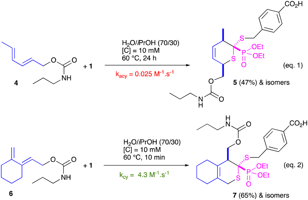 Hetero-Diels–Alder click reaction of dithioesters for a catalyst-free ...