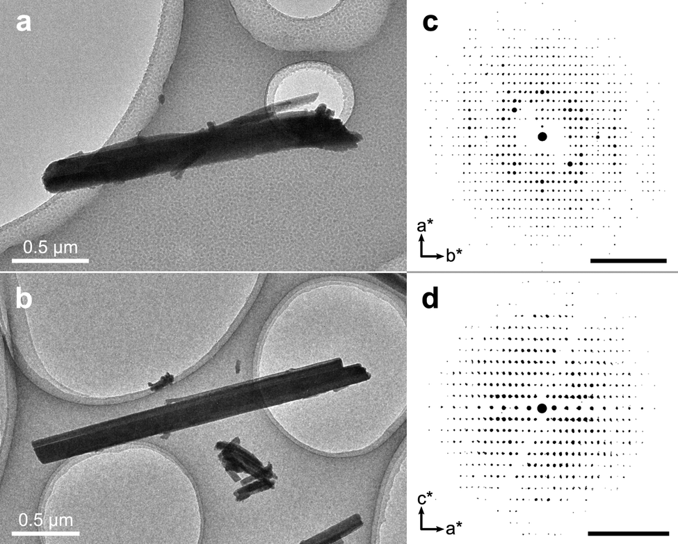 Triple helix and rod structures of the antiseptic drug bibrocathol ...