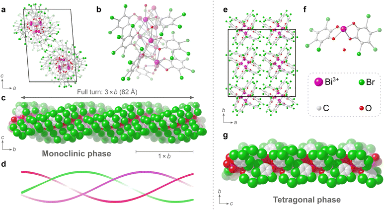 Triple helix and rod structures of the antiseptic drug bibrocathol ...
