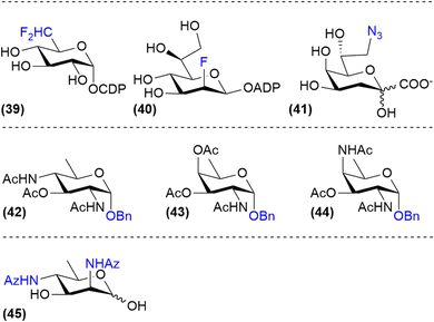 Chemical tools to track and perturb the expression of sialic acid and ...