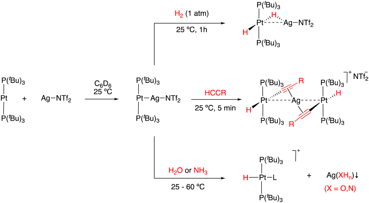 Small molecule activation with bimetallic systems: a landscape of ...