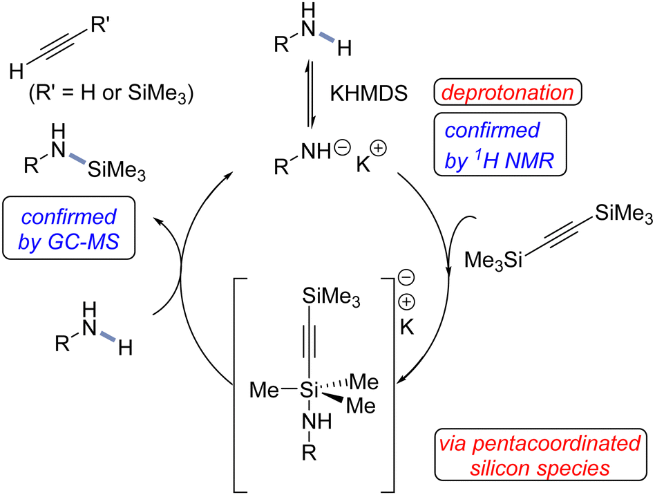 Silicon–nitrogen bond formation via dealkynative coupling of amines ...
