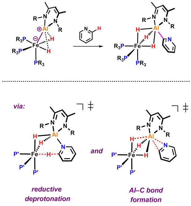 Diverse reactivity of an iron–aluminium complex with substituted ...