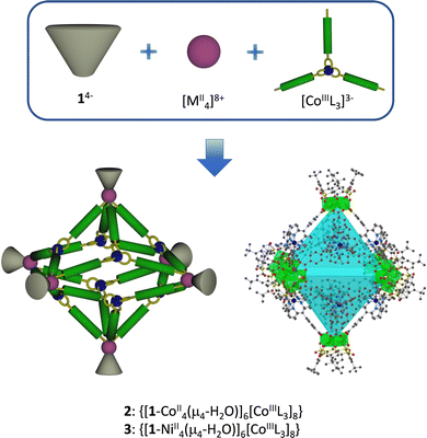 Selective gas adsorption by calixarene-based porous octahedral M 32 ...