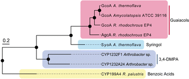 Efficient O -demethylation of lignin monoaromatics using the ...