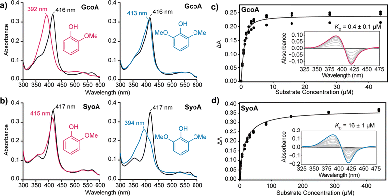 Efficient O -demethylation of lignin monoaromatics using the ...