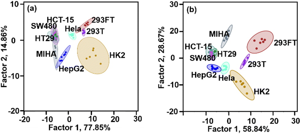 A heteromultivalent host–guest sensor array for cell recognition and ...