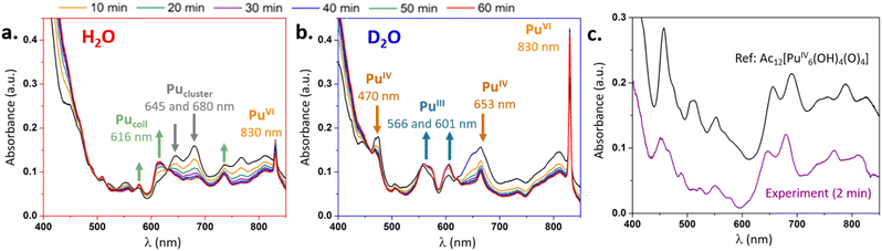 First observation of [Pu 6 (OH) 4 O 4 ] 12+ cluster during the ...