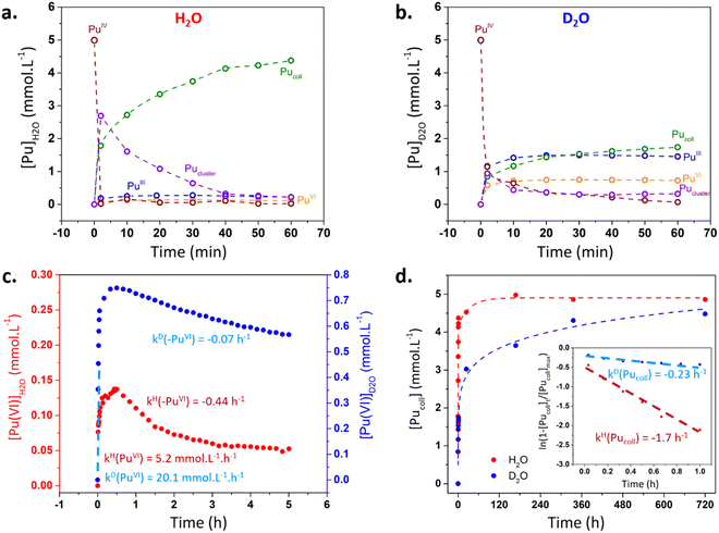 First observation of [Pu 6 (OH) 4 O 4 ] 12+ cluster during the ...
