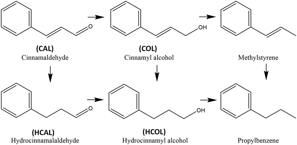 Cinnamaldehyde hydrogenation over carbon supported molybdenum and ...