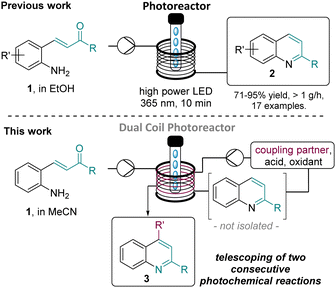 Consecutive photochemical reactions enabled by a dual flow reactor coil ...