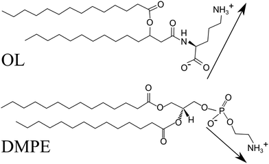 pH-Dependent physicochemical properties of ornithine lipid in mono- and ...