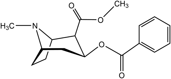 Protonation and orientation: a computational approach to cocaine ...