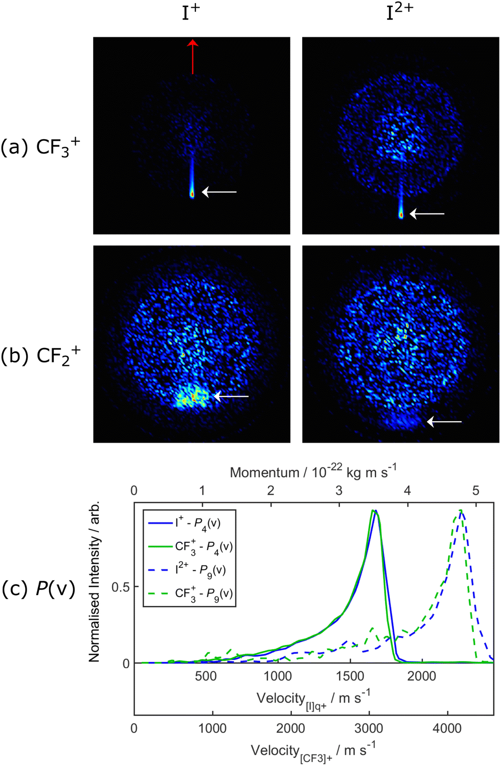 Multi-mass velocity map imaging study of the 805 nm strong field ...