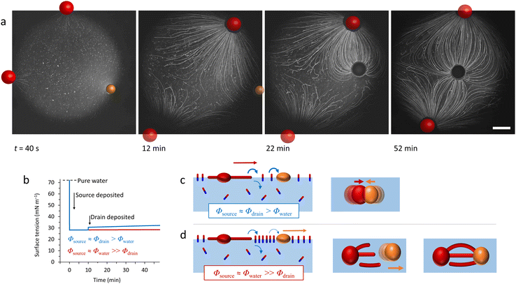 Spatial programming of self-organizing chemical systems using sustained physicochemical ...