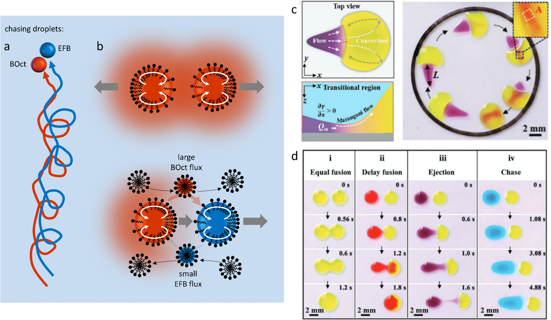 Spatial programming of self-organizing chemical systems using sustained physicochemical ...