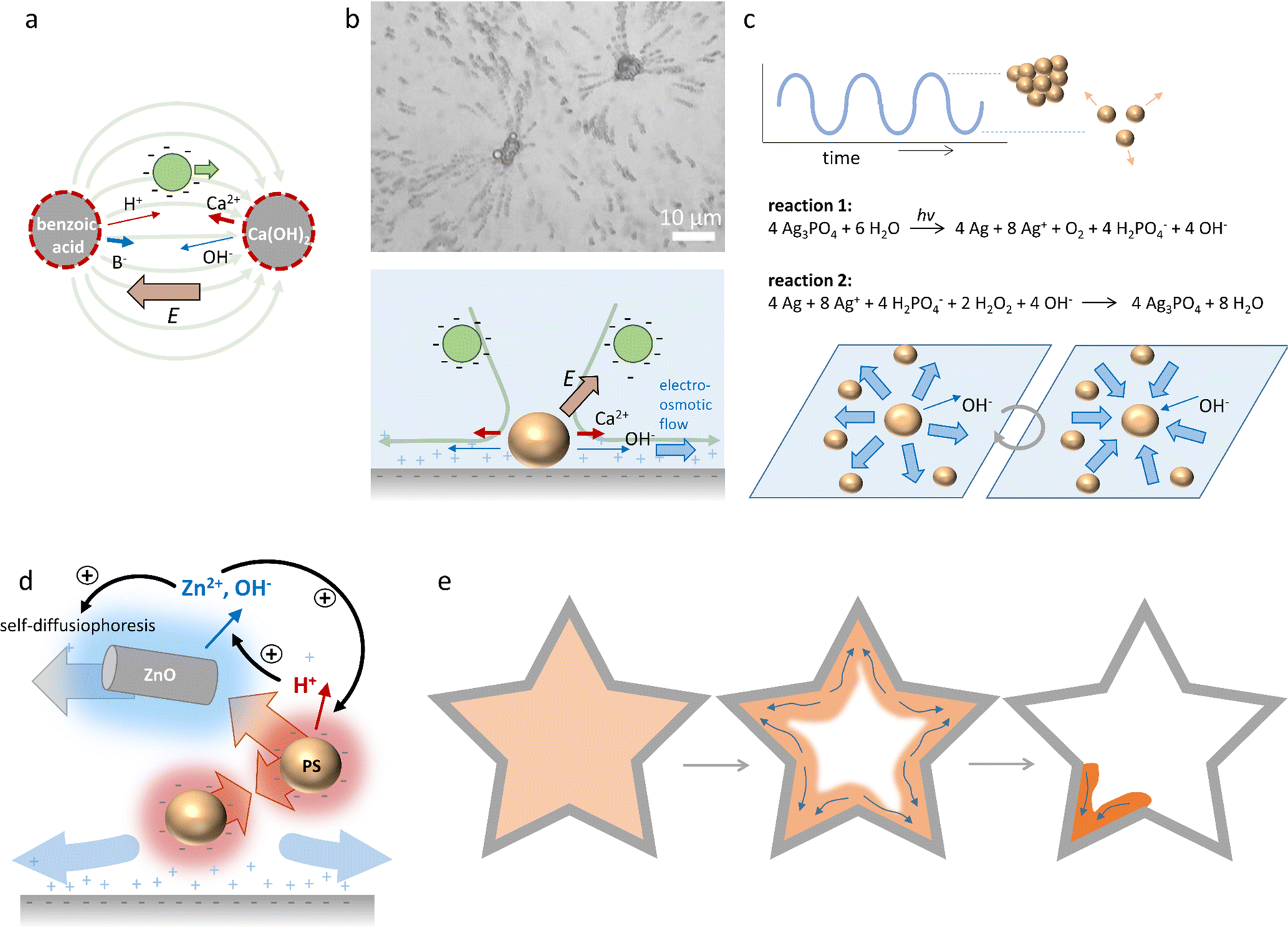 Spatial programming of self-organizing chemical systems using sustained physicochemical ...