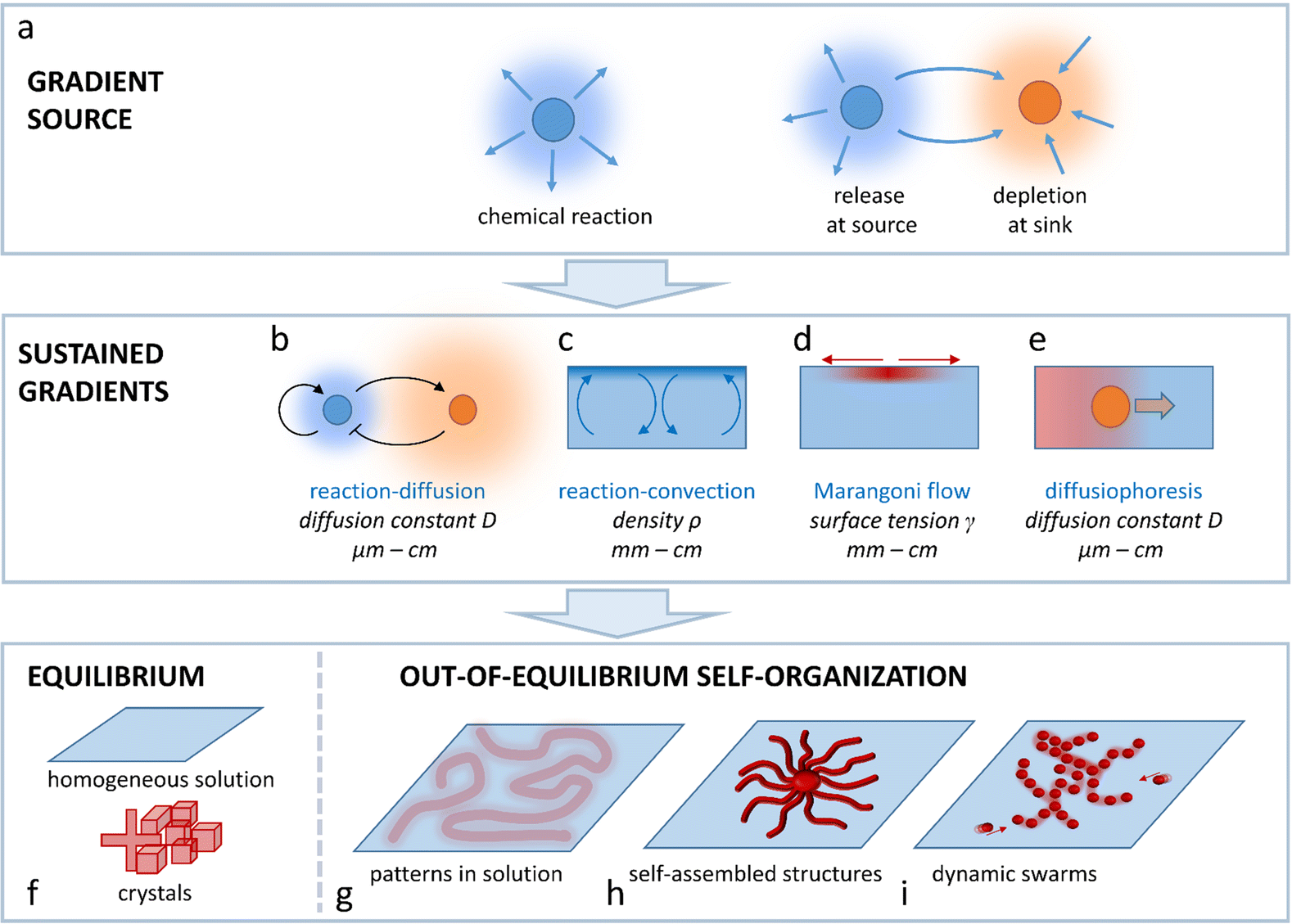 Spatial programming of self-organizing chemical systems using sustained ...