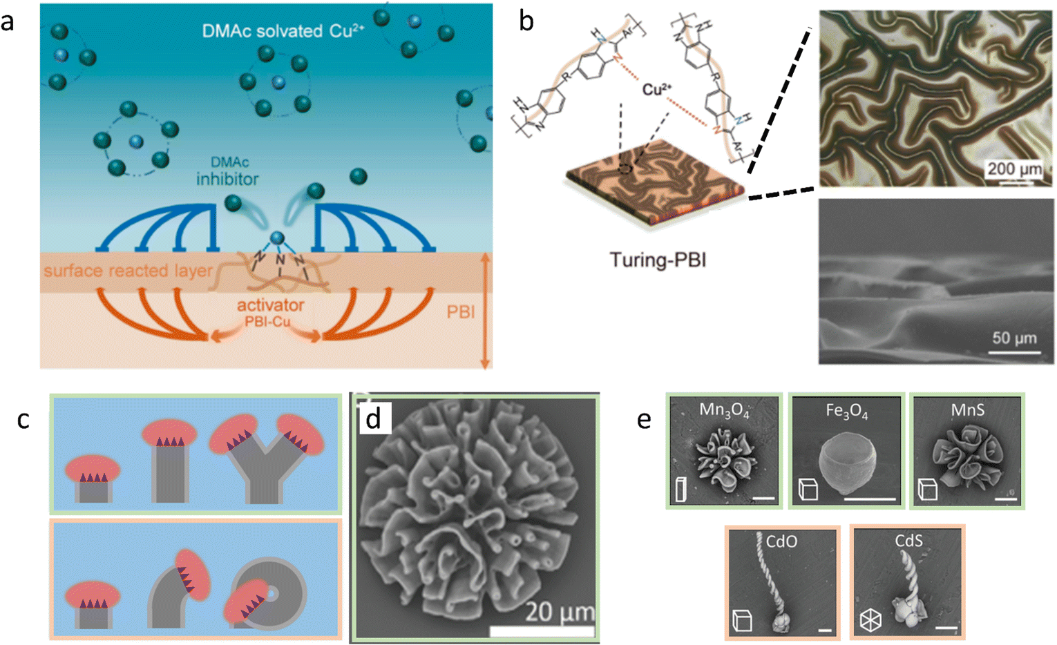 Spatial programming of self-organizing chemical systems using sustained physicochemical ...
