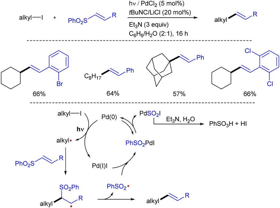 Beyond classical sulfone chemistry: metal- and photocatalytic ...