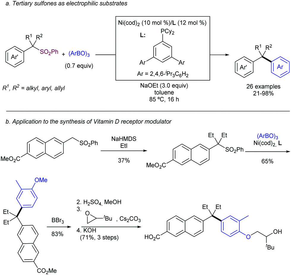 Beyond classical sulfone chemistry: metal- and photocatalytic ...
