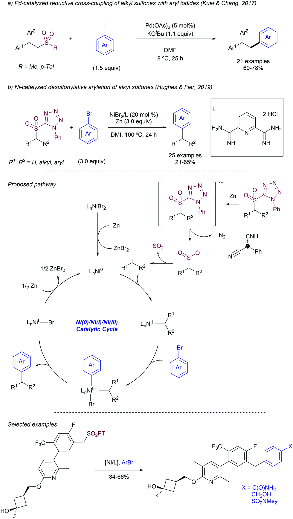 Beyond classical sulfone chemistry: metal- and photocatalytic ...