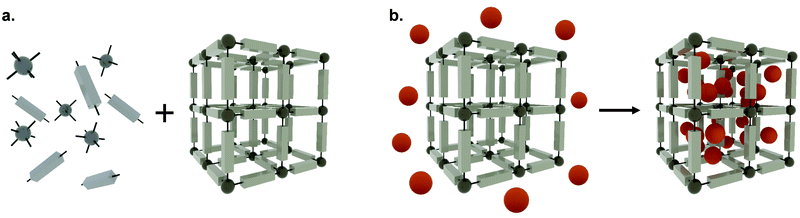 The uptake of metal–organic frameworks: a journey into the cell ...