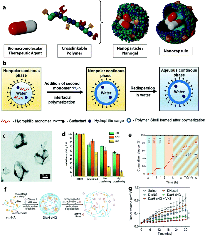 Polymer nano-systems for the encapsulation and delivery of active ...