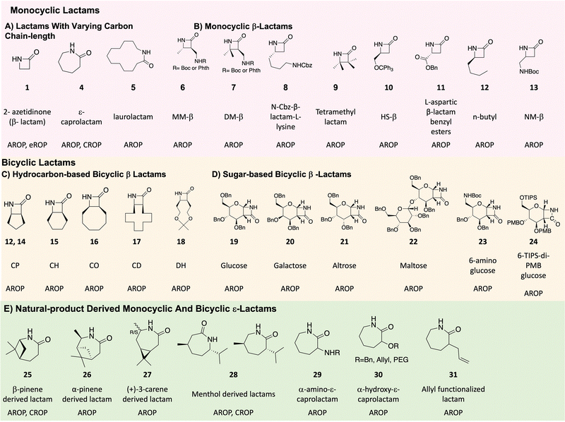 Beyond nylon 6: polyamides via ring opening polymerization of designer ...