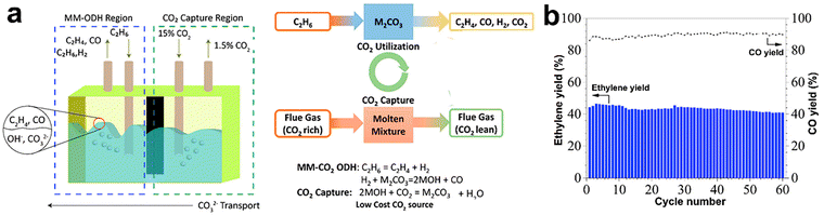 Light olefin synthesis from a diversity of renewable and fossil ...