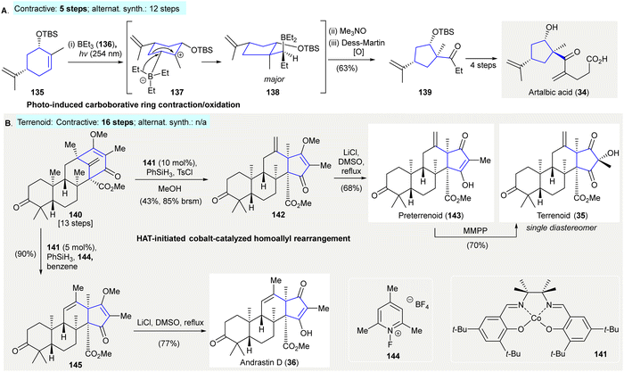 Ring contraction in synthesis of functionalized carbocycles - Chemical ...