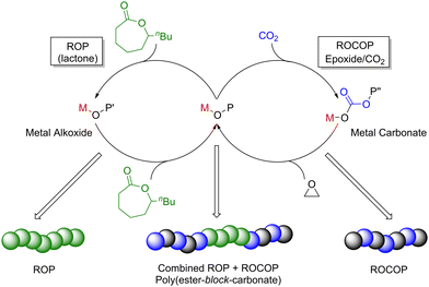 Main group metal polymerisation catalysts - Chemical Society Reviews ...