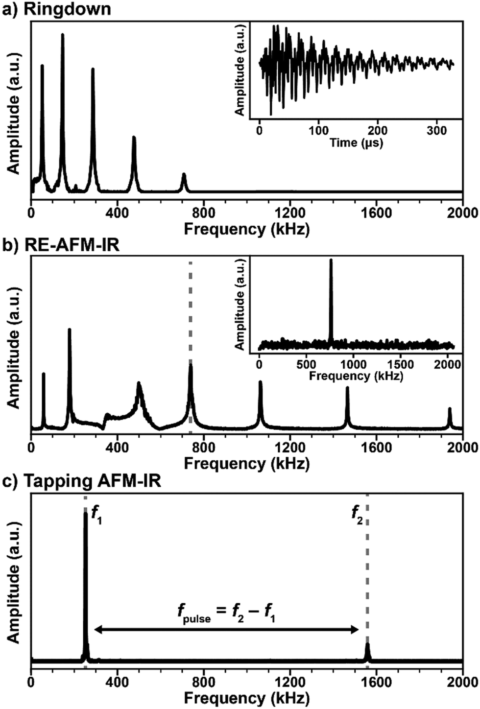 A guide to nanoscale IR spectroscopy: resonance enhanced transduction ...