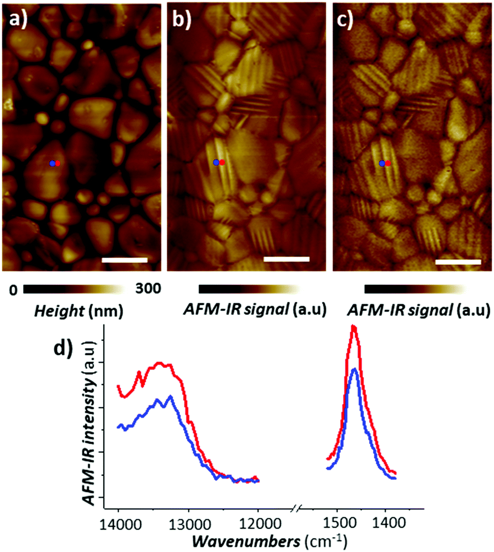 A guide to nanoscale IR spectroscopy: resonance enhanced transduction ...