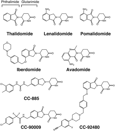 Discovery of CRBN as a target of thalidomide: a breakthrough for ...