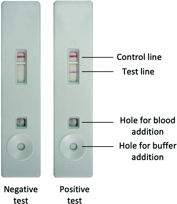 Glycosylated gold nanoparticles in point of care diagnostics: from ...