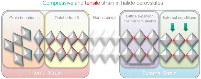 Strain effects on halide perovskite solar cells - Chemical Society ...