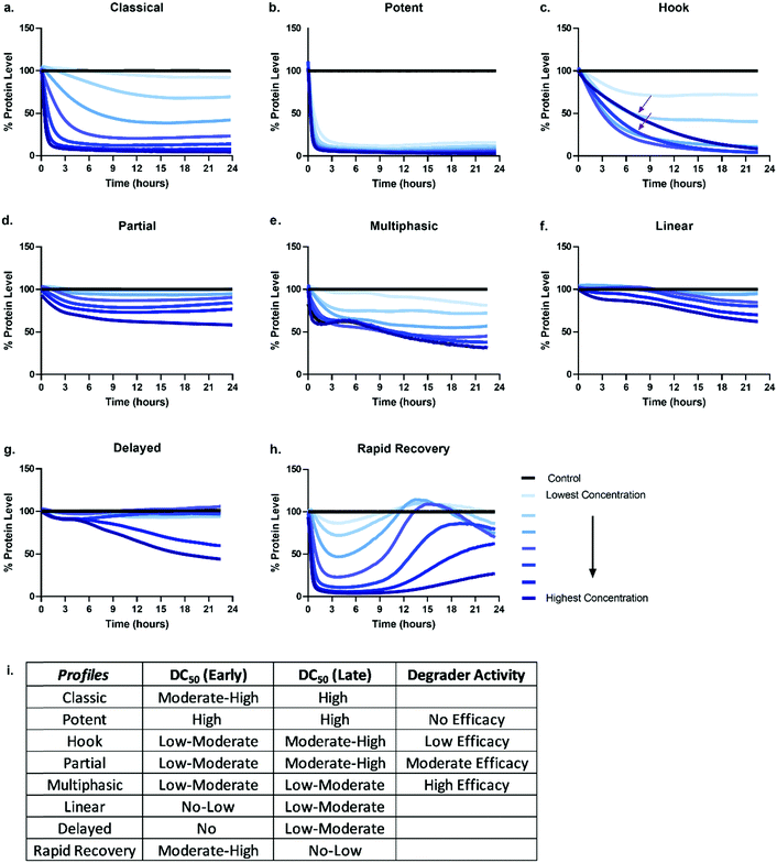 The importance of cellular degradation kinetics for understanding ...