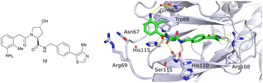 Discovery of small molecule ligands for the von Hippel-Lindau (VHL) E3 ...